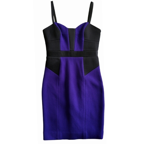 Milly of New York | Dresses | Milly Clarise Bustier Bodycon Mini Dress ...